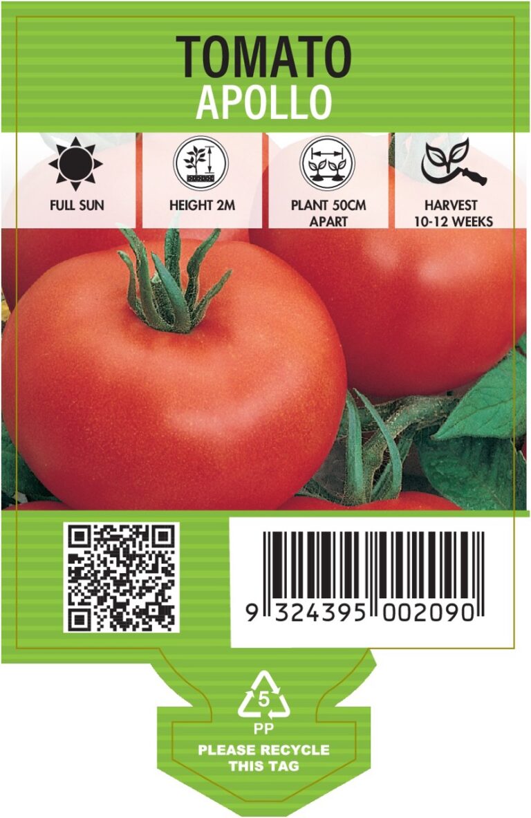 Tomato Apollo – Early Crop & Rich Flavour – Potted Colour