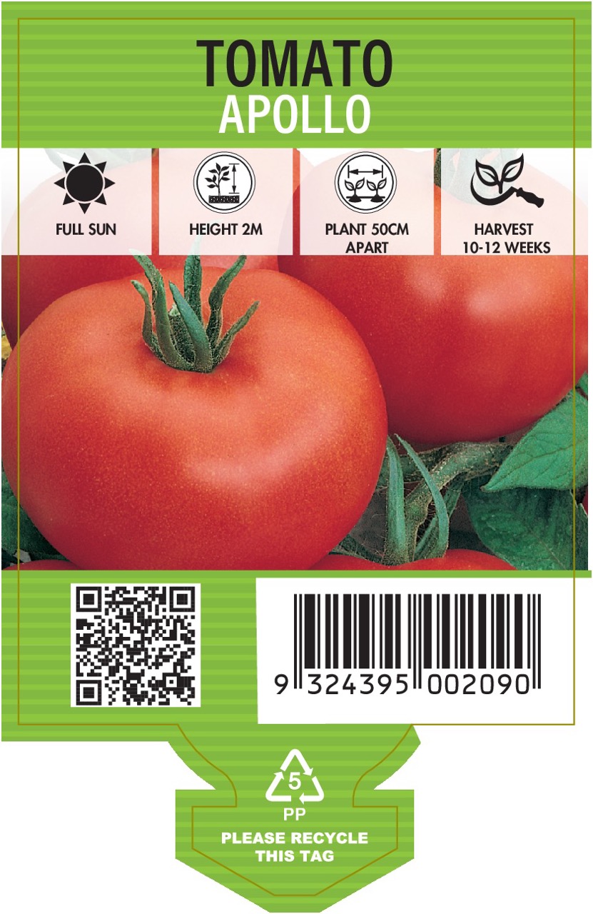 Tomato Apollo – Early Crop & Rich Flavour – Potted Colour
