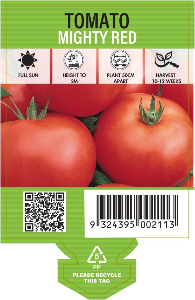 Tomato Mighty Red – Bold Flavour, Big Harvest – Potted Colour