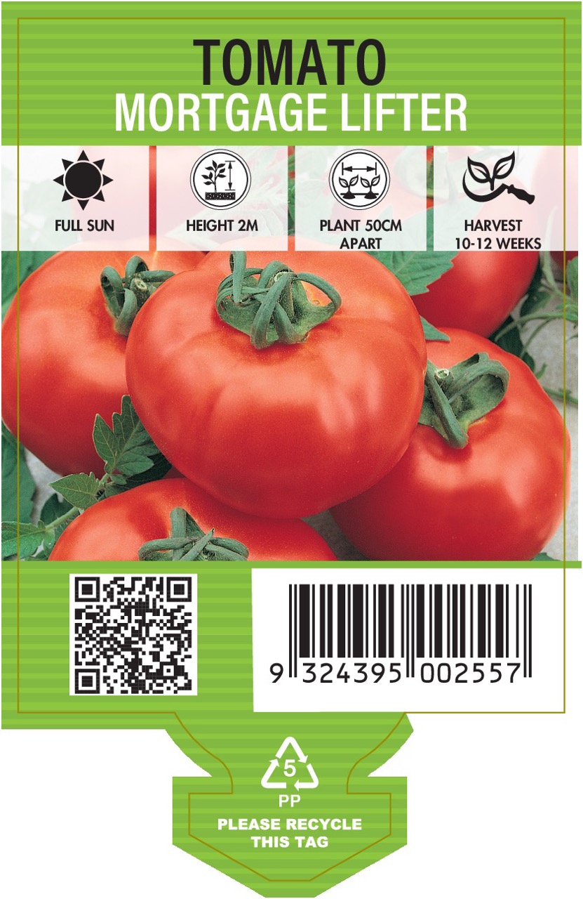 Tomato Mortgage Lifter Big Yields Bold Taste Potted Colour