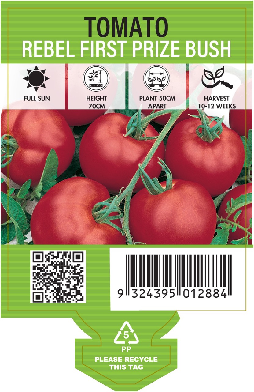 Tomato Rebel First Prize – Easy Bush Harvests – Potted Colour