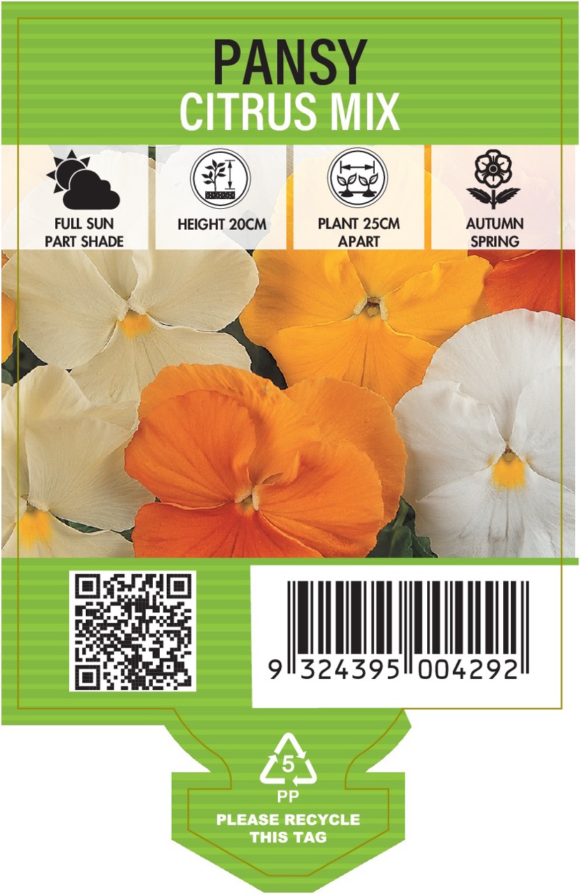 Pansy Citrus Mix – Zesty Colours for Cool Seasons – Potted Colour
