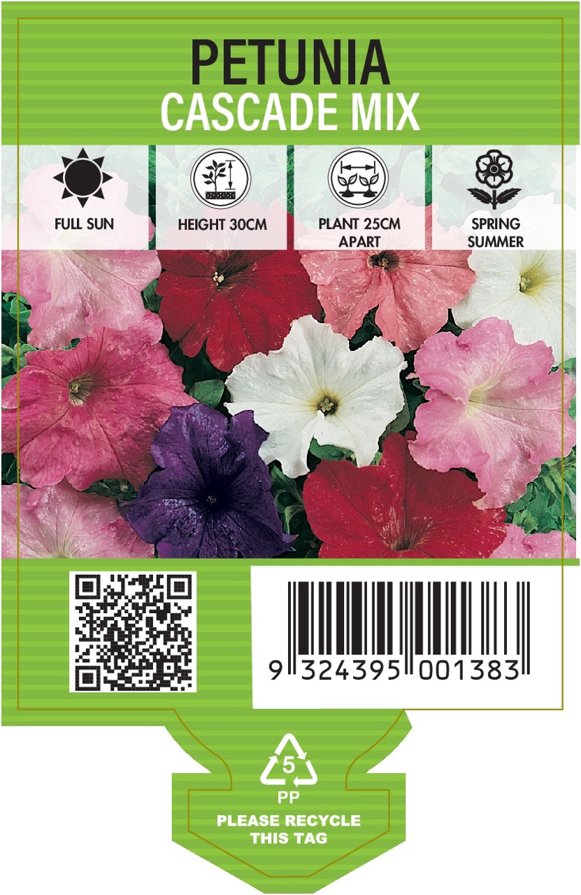 Petunia Cascade Mix - Flowing blooms for Gardens - Potted Colour