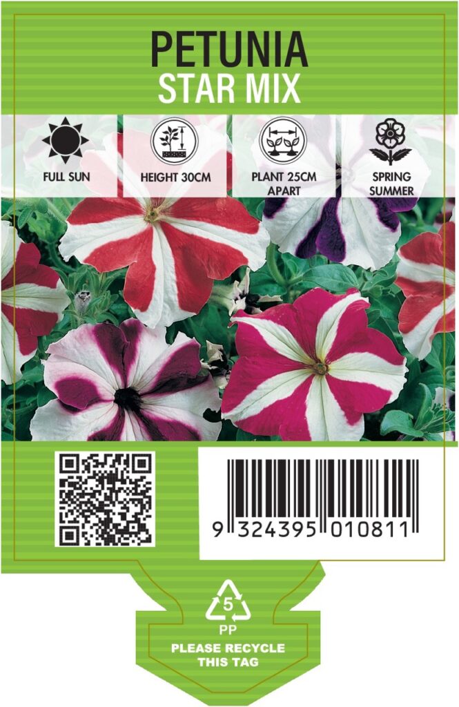 Petunia Star Mix - Potted Colour