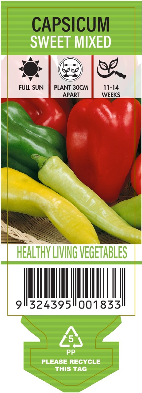 Capsicum Sweet Mix – Colourful, Mild & Versatile – Potted Colour
