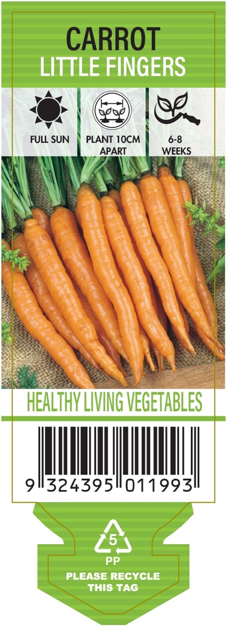 Carrot Little Fingers – Sweet, Tender & Fun to grow – Potted Colour