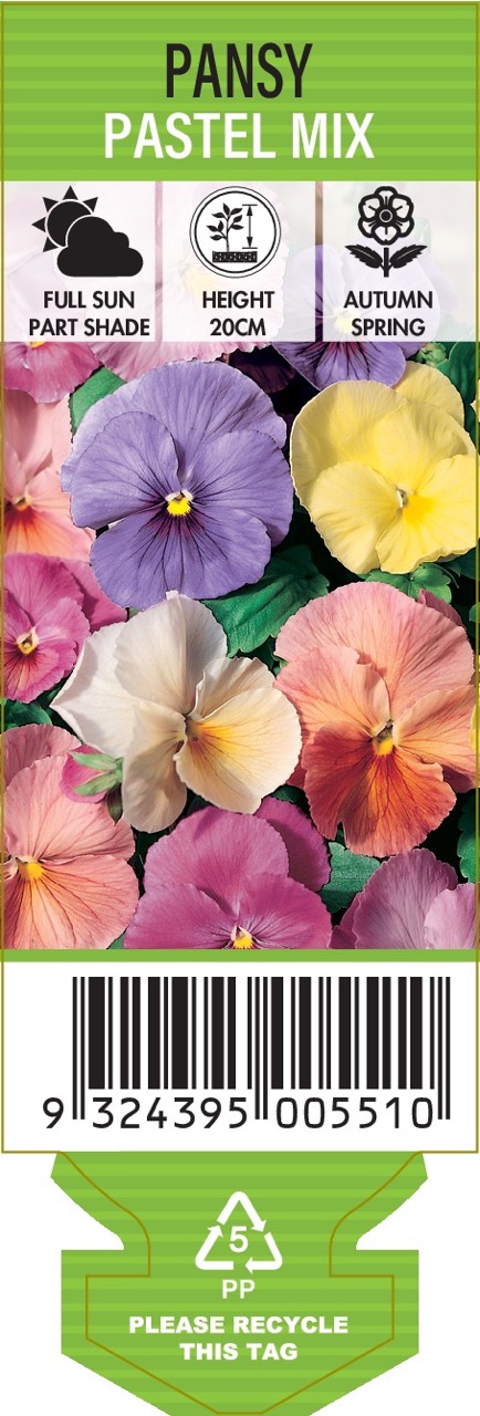 Pansy Pastel Mix - Potted Colour