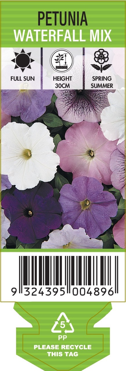Petunia Waterfall Mix – Cool tones for lush displays – Potted Colour