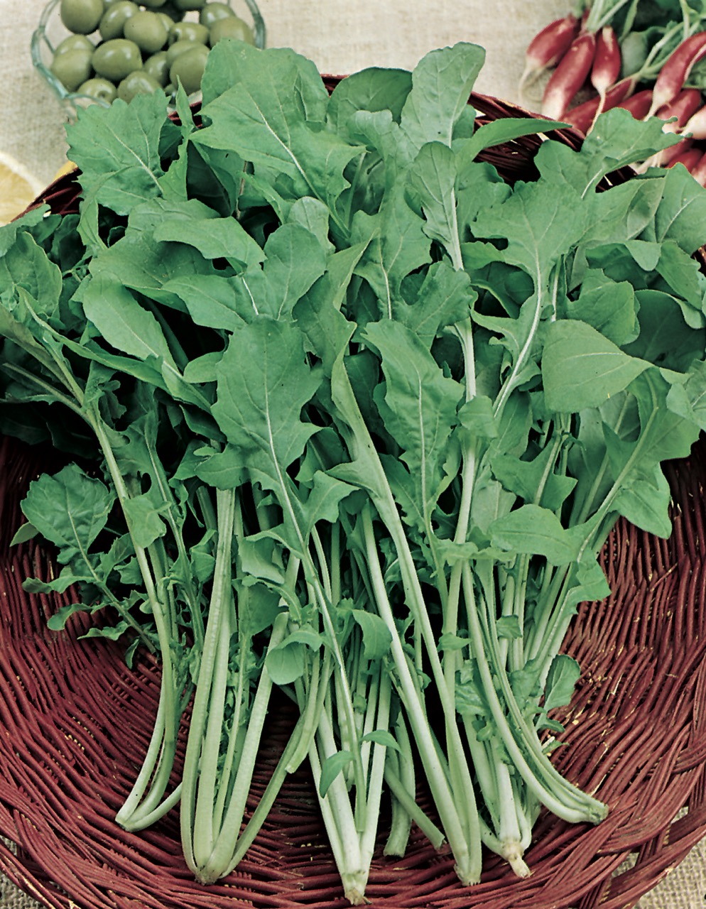 Rocket – Fresh, Peppery Leaves for Your Kitchen – Potted Colour