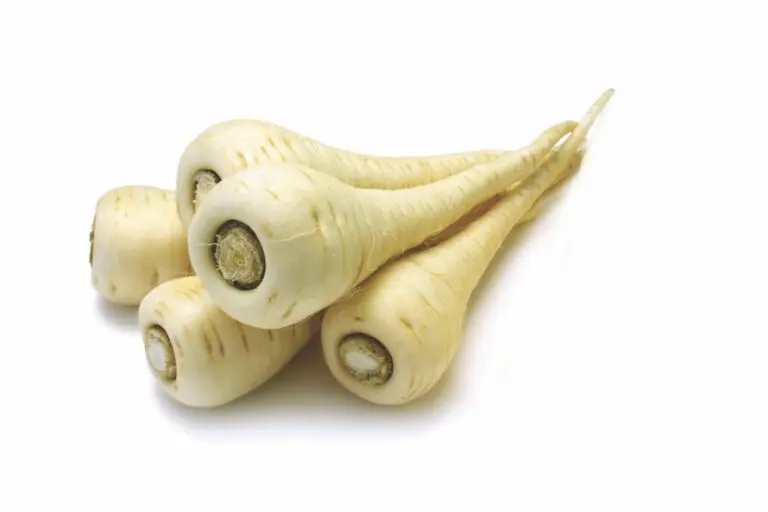 Parsnip - Nutritious Root Vegetable for Your Garden - Potted Colour