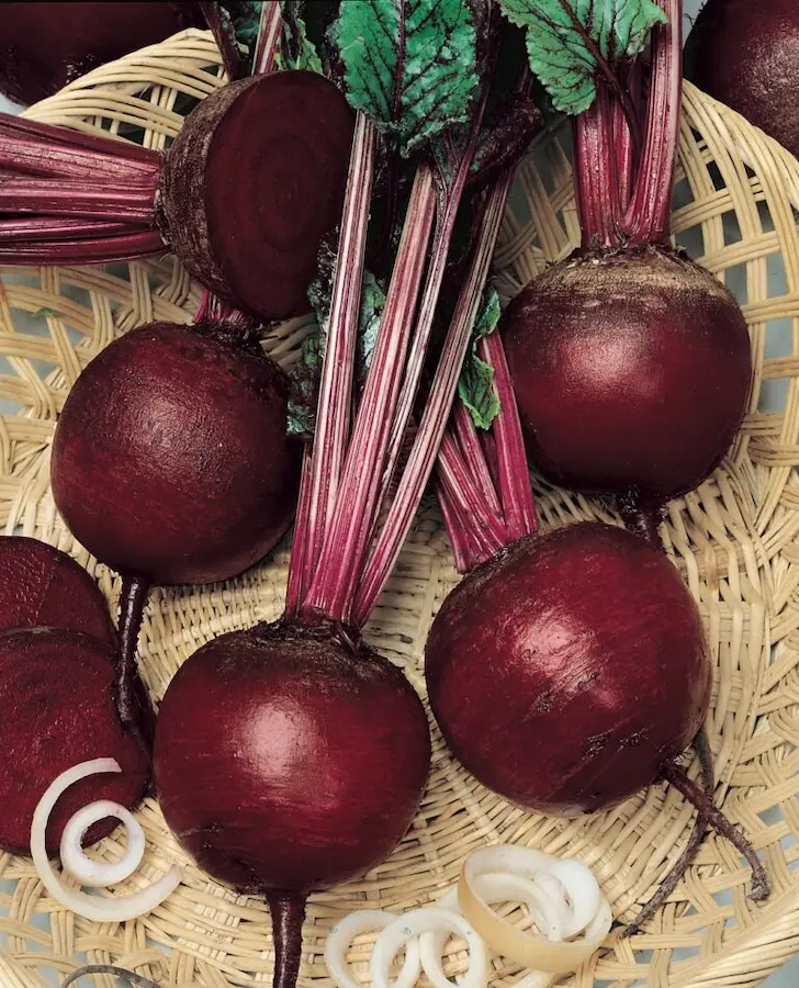 Beetroot Baby Beet in your garden - sweet & tender - Potted Colour