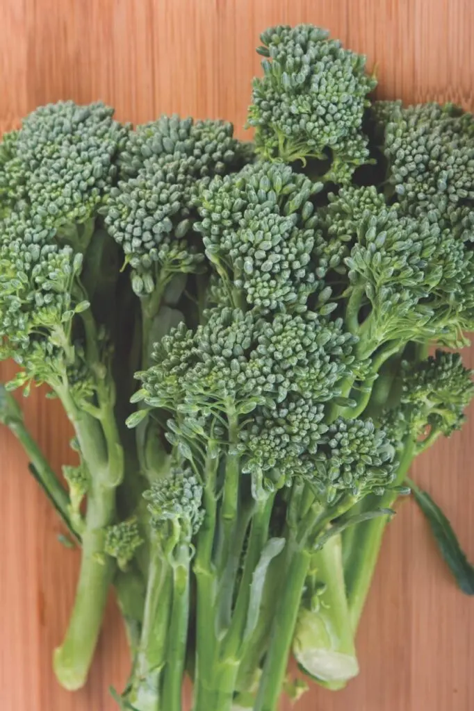 Broccoli Bunching - Fast-growing greens for garden - Potted Colour