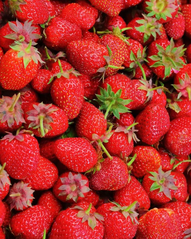 Strawberry Temptation - Juicy Treats, Runners Free - Potted Colour