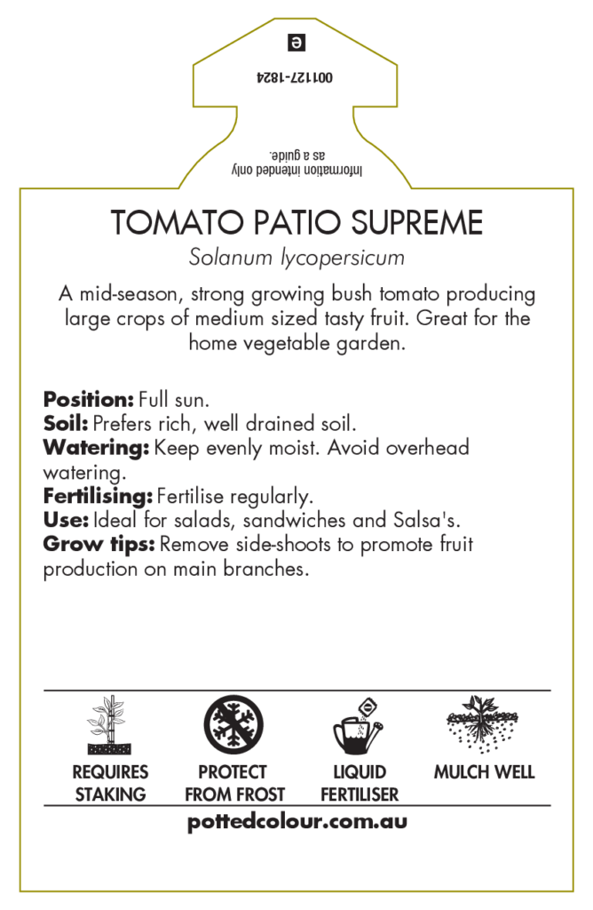 Tomato Patio Supreme - Potted Colour