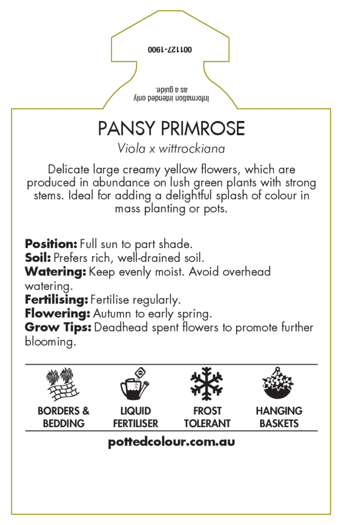 Pansy Primrose – Soft Elegance for Cool Seasons – Potted Colour